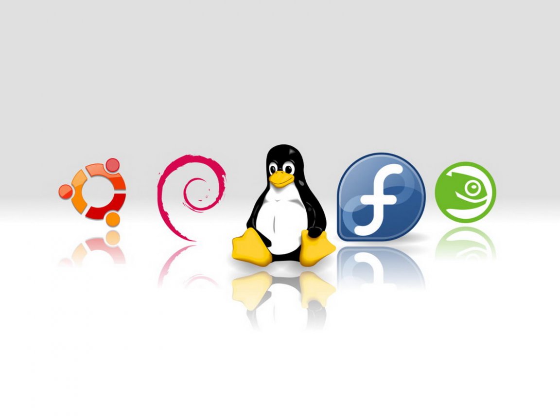 ¿Cómo elegir una distribución Linux? | Rincón de la Tecnología ¿Cómo elegir una distribución Linux? | Rincón de la Tecnología